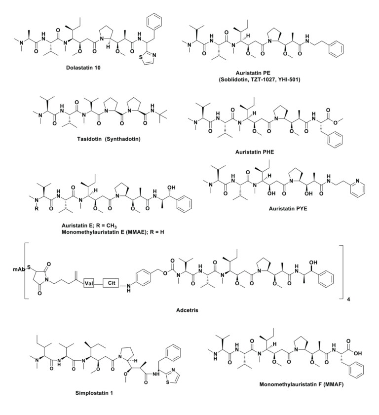 HOT TOPICS IN PHARMACOGNOSY: The Evolution of Dolastatin 10 Derivatives ...